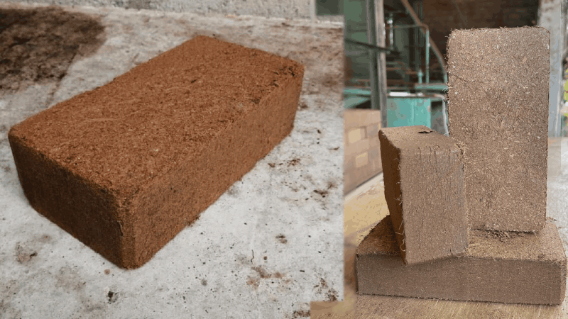 Coco Peat Bricks
